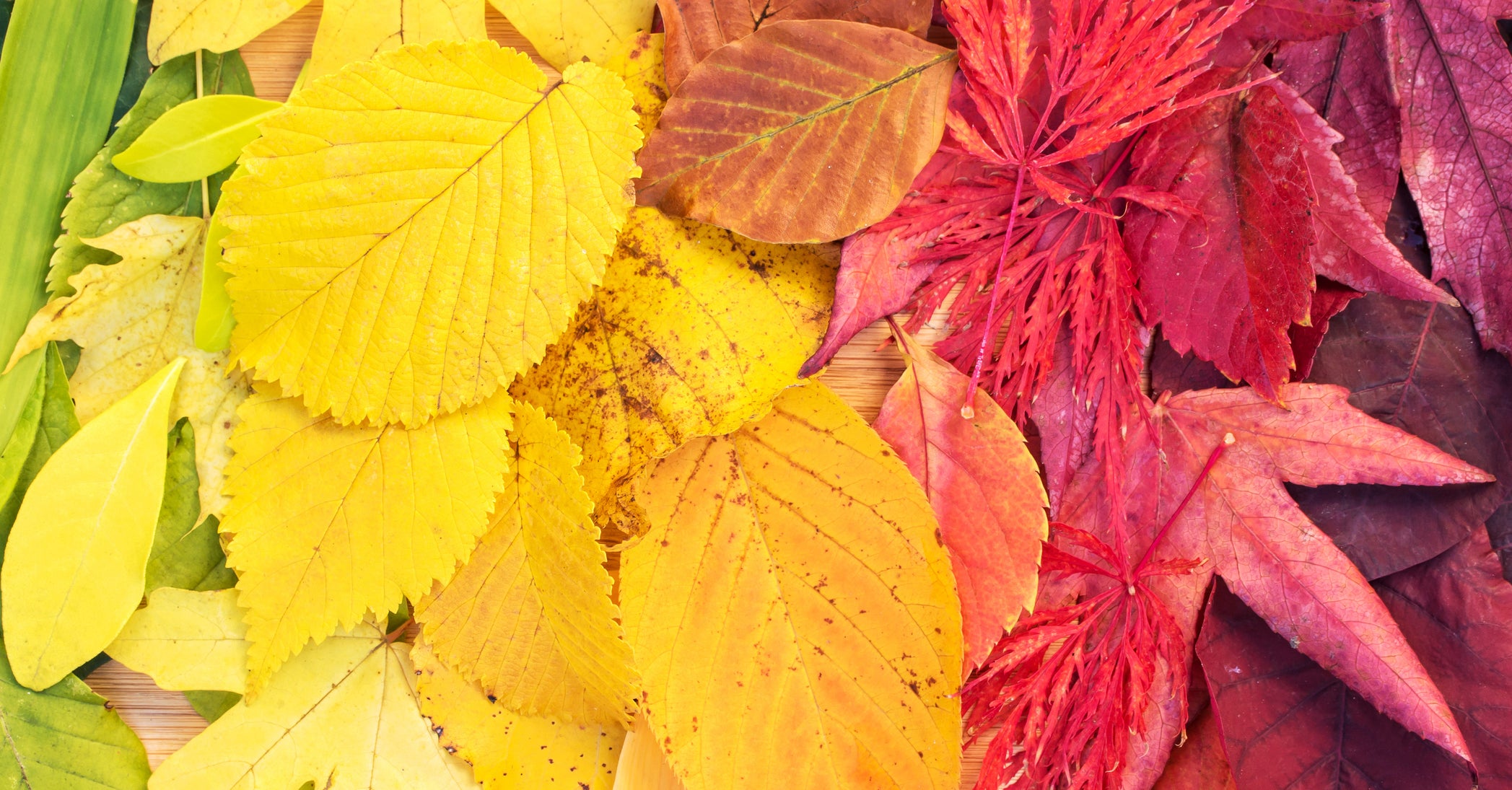 This Cozy Fall Quiz Will Determine Your Favorite Thing About Fall