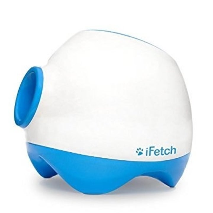 21 Toys Guaranteed To Satisfy Any Pooch