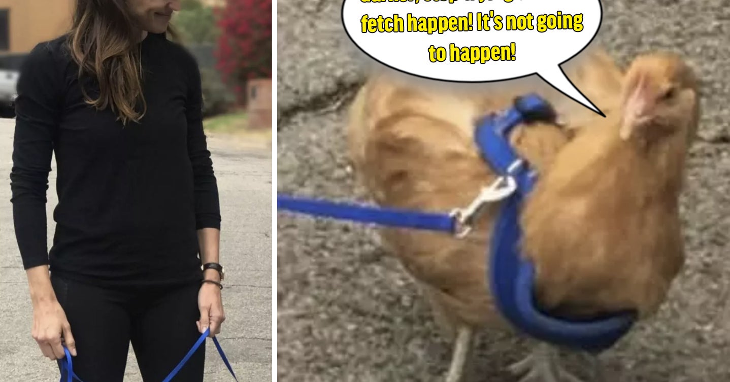 Jennifer Garner Has A Pet Chicken Named Regina George And Honestly, She ...