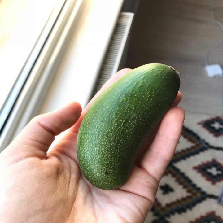 I Ate The Pitless Avocado That's Everywhere, And Here's What Happened