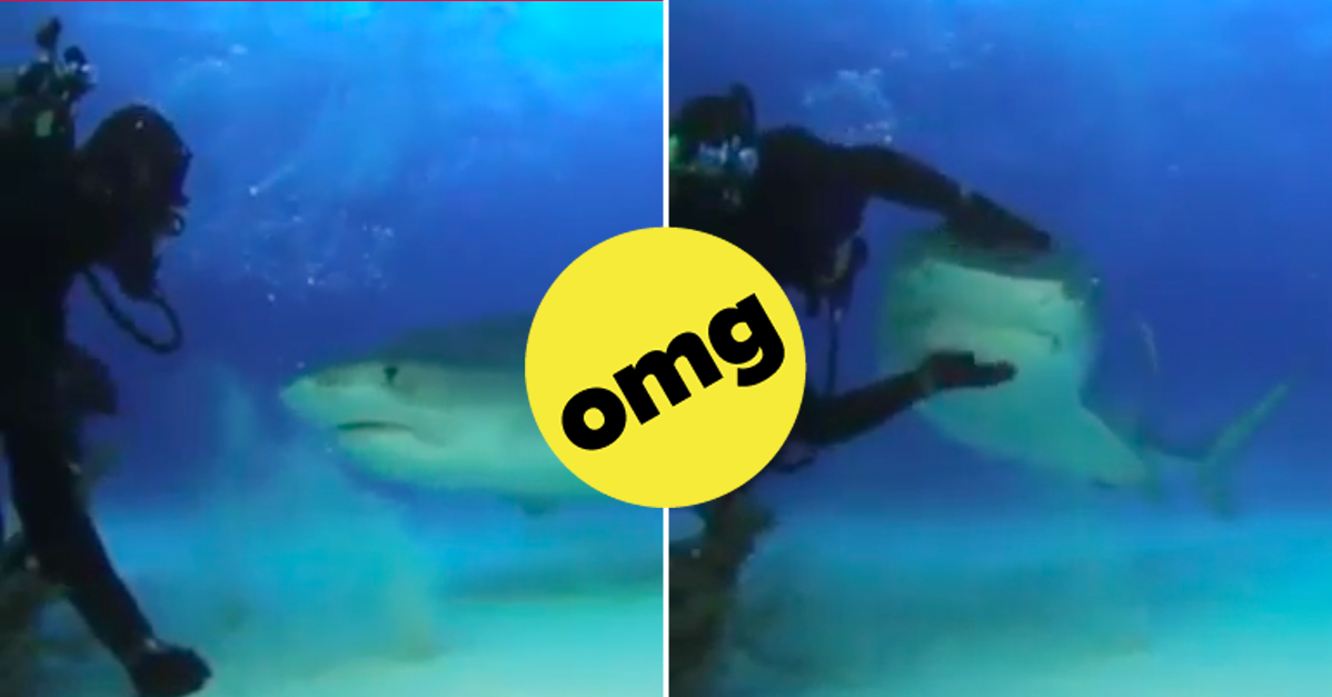 25 Anxiety Inducing GIFs That Have A Happy Ending, I Promise