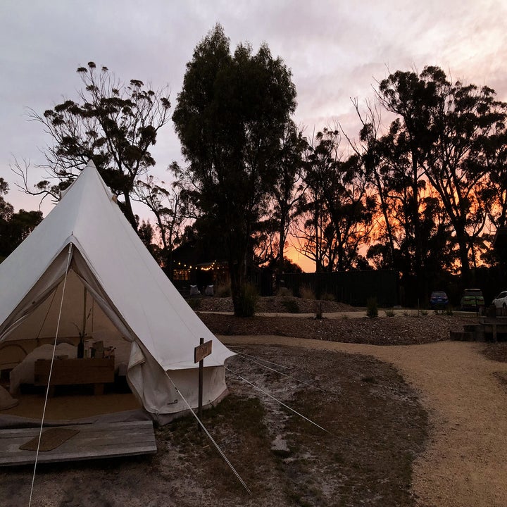 16 Activities Down Under That Are Perfect If You're A Lazy Person