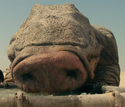 Which "Star Wars" Creature Should You Adopt As Your Pet?