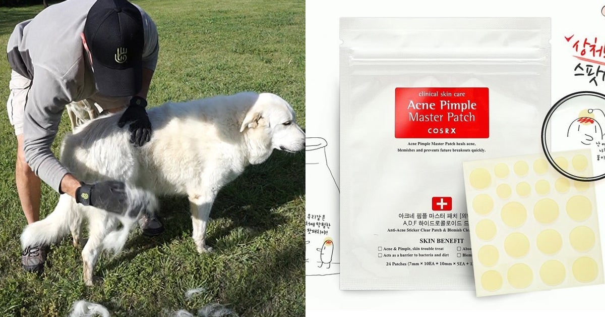 34 Products That Seem Too Good To Be True But Actually Work