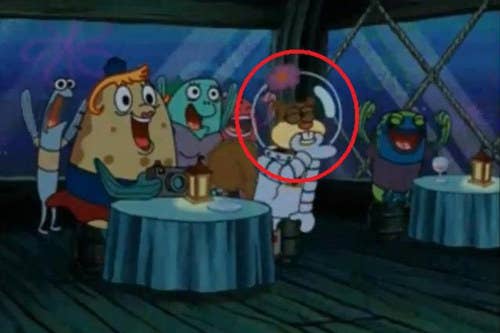 Sandy Cheeks In Real Life