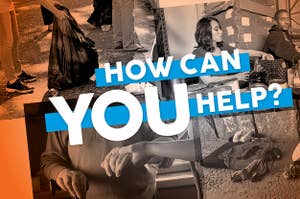 Chris Applegate (chrisapplegate) on BuzzFeed