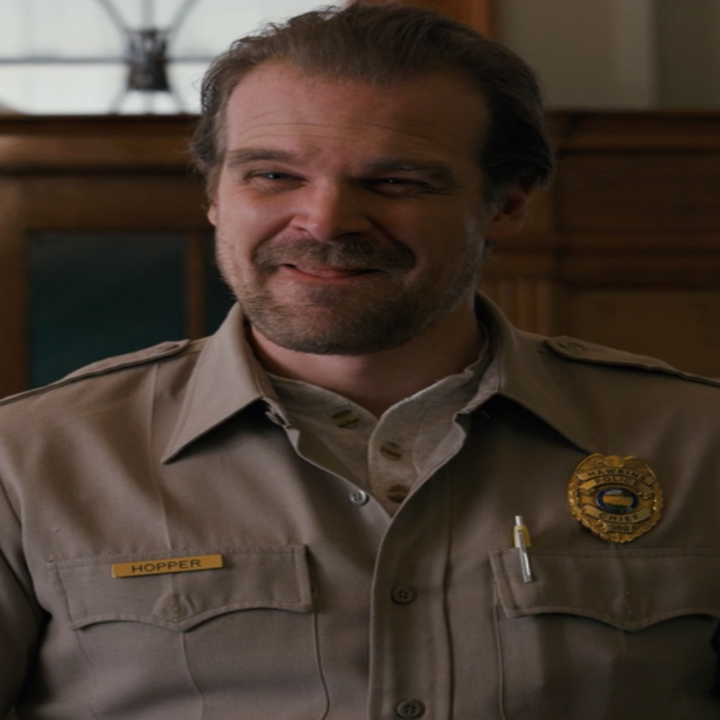 19 Things About David Harbour, AKA Chief Hopper, That Will Make You ...