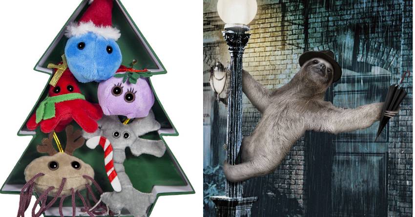 24 Strange Gifts That'll Make Them Say "This Is So Weird, I Love It!"