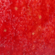 Can You Go 7 For7 On This Fruit Puzzle Quiz?