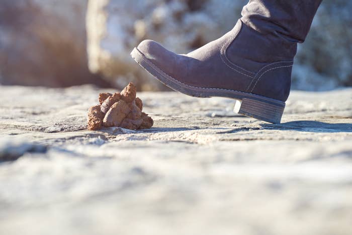 12 cosas que no sabías sobre la "caca" en la Ciudad de México