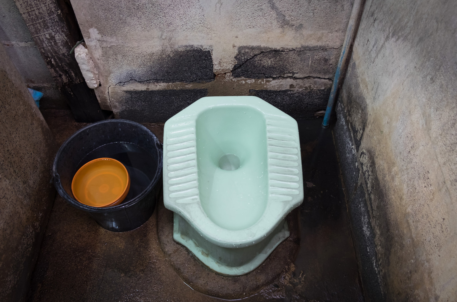 12 cosas que no sabías sobre la "caca" en la Ciudad de México