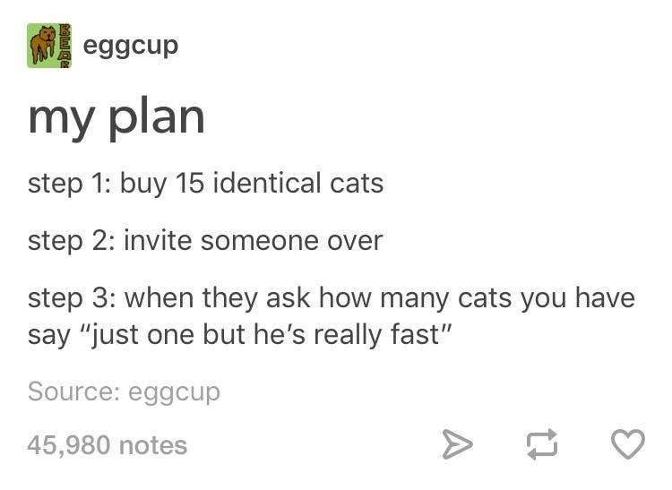 Funny Tumblr Pictures With Comments