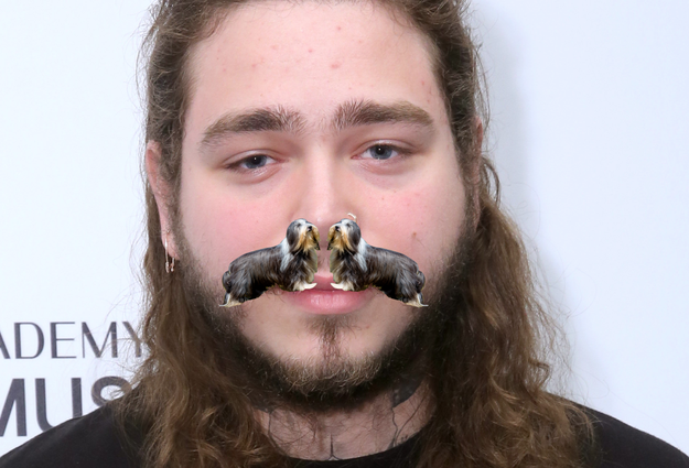 Once You Realize That Post Malone's Mustache Looks Like Two Dogs ...