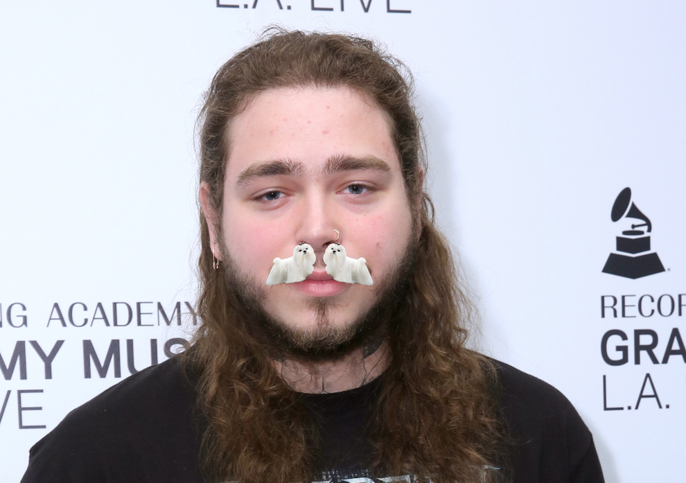 Once You Realize That Post Malone's Mustache Looks Like Two Dogs ...