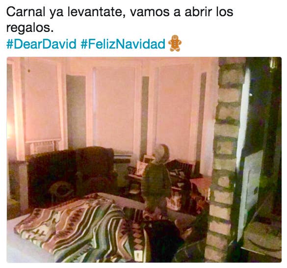 Los mejores memes de "Dear David", te sentirás identificado.