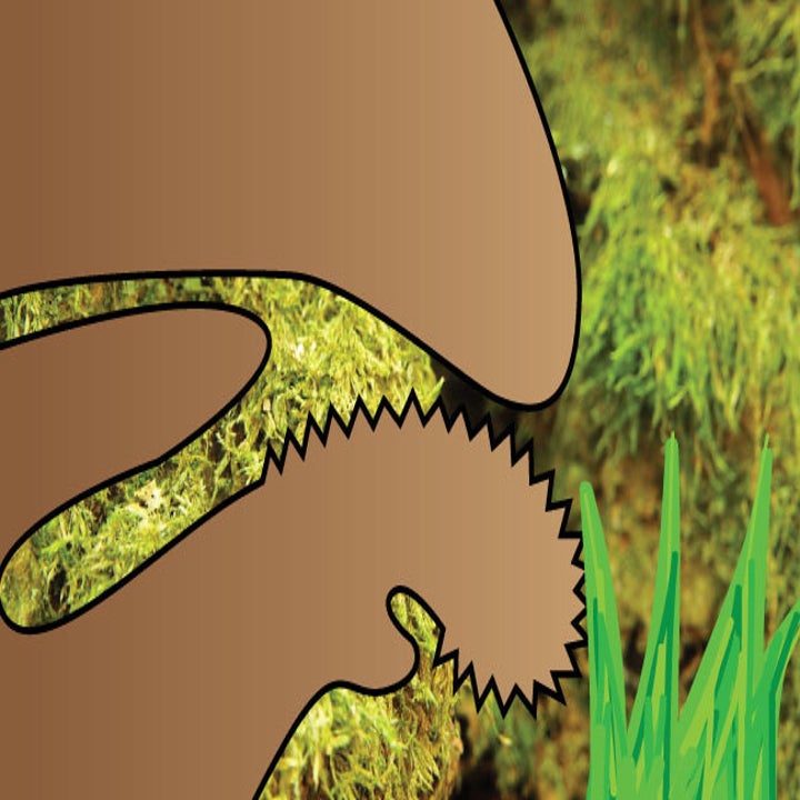 Snails Have Teeth Because The World Is Just One Big Acid Trip