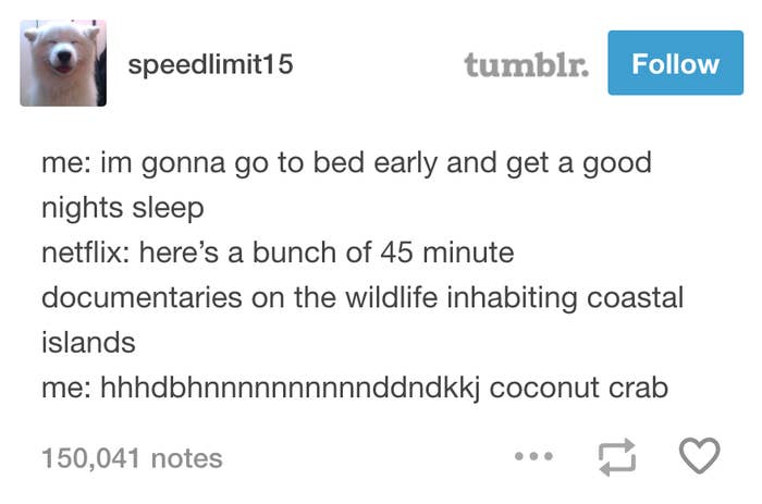 21 Hilarious Tumblr Posts That'll Make You Laugh Then Cry If You're ...