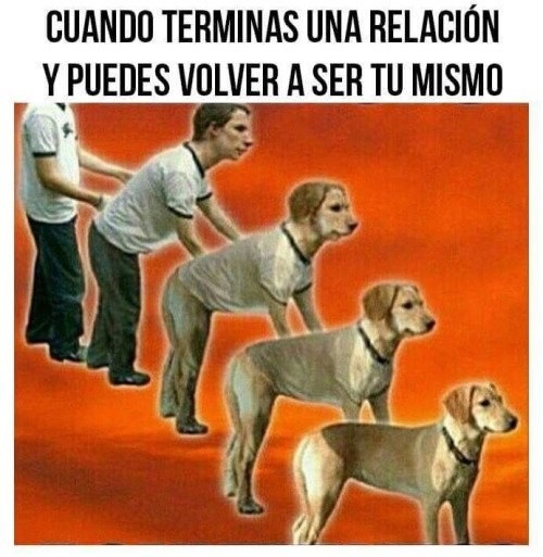 21 Memes sobre terminar con alguien que te harán agradecer tu soltería