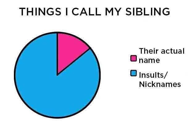 11 Sibling Charts That You'll Want To Share In Your Family Group Chat
