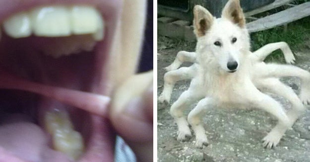 50 Strangely Disturbing Photos You’ll Wish You Could Unsee