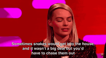 Margot Robbie Told The Most Australian Story Ever About A Python In Her ...
