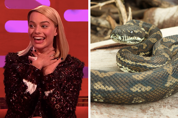 Margot Robbie Was Too Busy Chatting On MSN To Help Her Mum Catch A Python