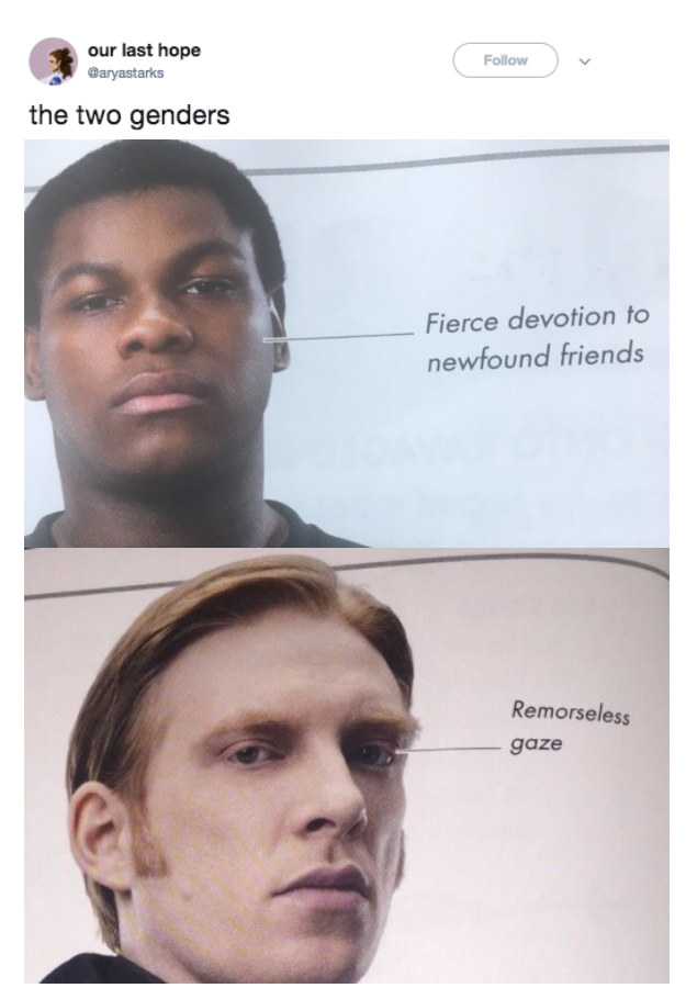 21 Times Twitter Perfectly Explained How Gender Works