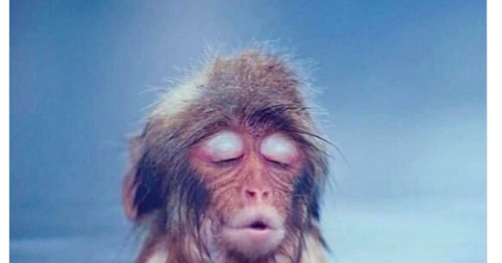 19 Jokes Only Die-Hard Coffee Drinkers Will Truly Understand