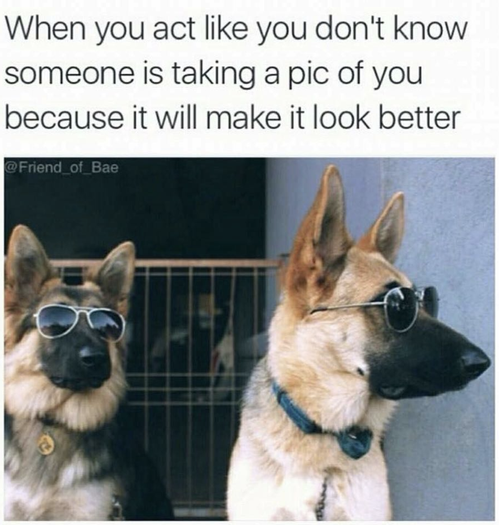 17 Memes That'll Make Anyone Obsessed With Selfies Say "Same!"