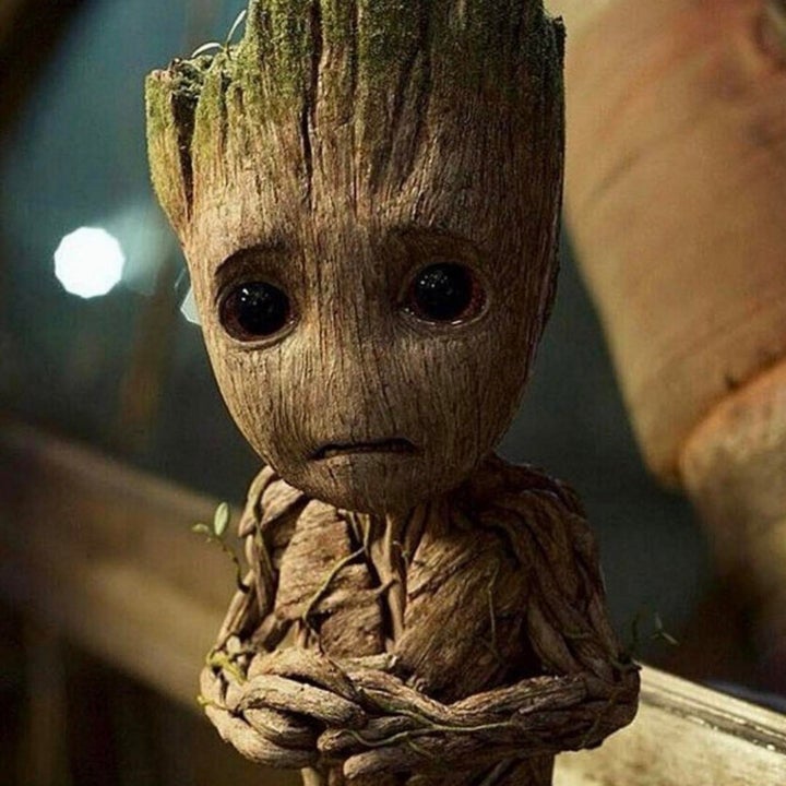 OMG Groot Is Actually Dead And Baby Groot Is His Son