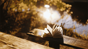 What's Your Favorite Line Of Poetry?