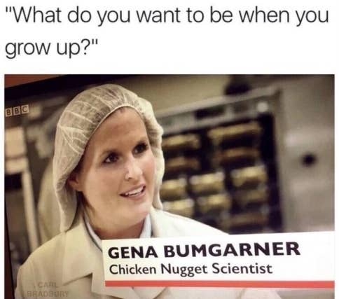 19 Chicken Nugget Memes That, Much Like Nuggets Themselves, You Can't ...