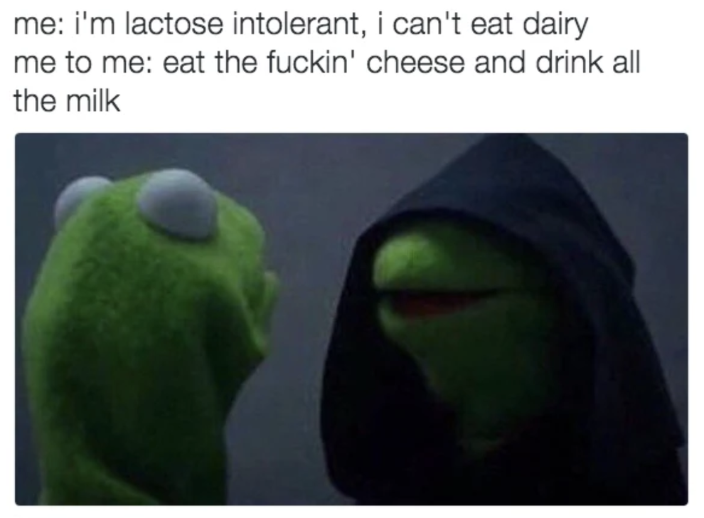 21 Jokes To Send To Your Friends Who Are Lactose Intolerant But Still ...