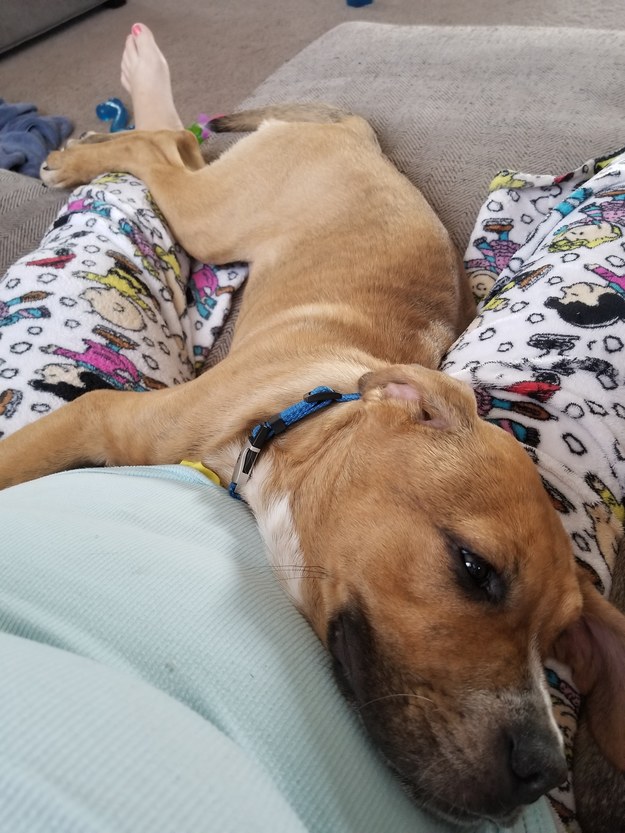 Kyla French on BuzzFeed