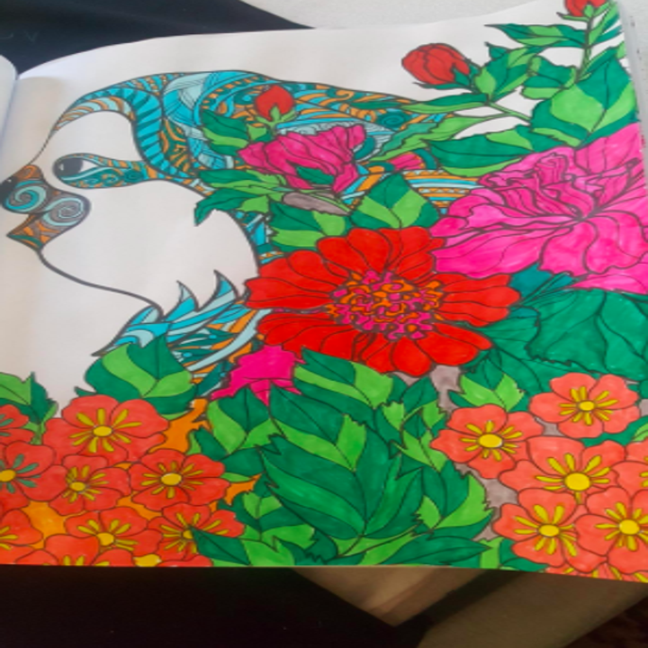 35 Of The Best Coloring Books You Can Get On Amazon