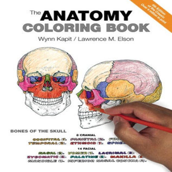 35 Of The Best Coloring Books You Can Get On Amazon