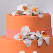 Hornea un pastel y te diremos la verdad más profunda sobre ti