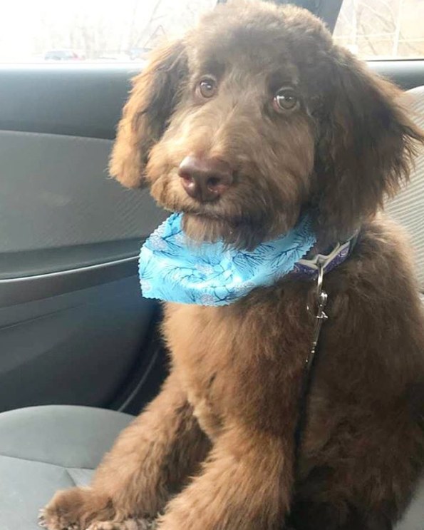 Taylor Tosh on BuzzFeed