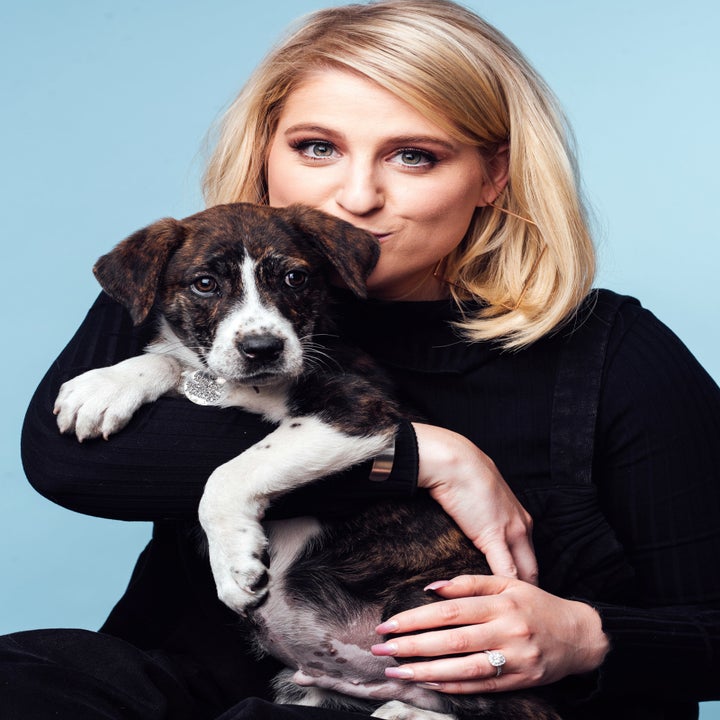 Meghan Trainor Gets Interviewed While Playing With Puppies
