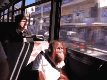 23 Wholesome Stories From Commuters That'll Brighten Your Day