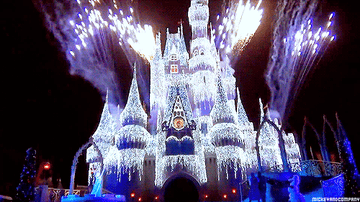 What's Your Most Heartwarming Disney Theme Park Story?