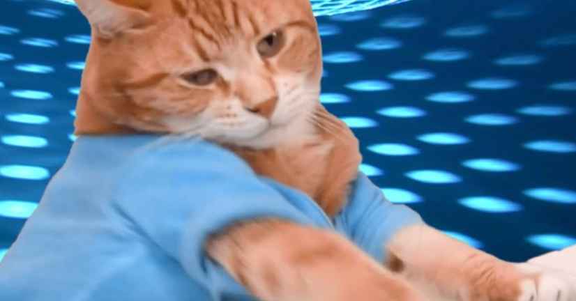 The Iconic Second Keyboard Cat Has Died And People Are Distraught 😿