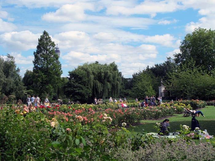 Quaker Gardens Garden Grove | Fasci Garden