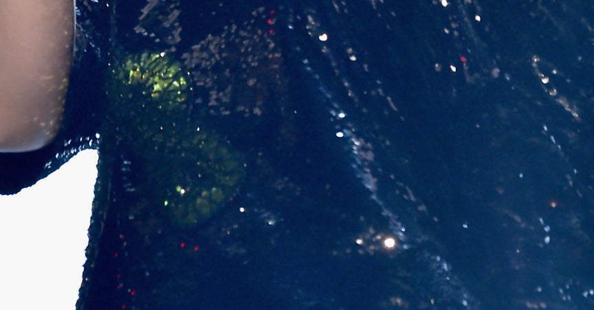 Taylor Swift Just Took A Stand For Gun Reform And Donated To The March ...