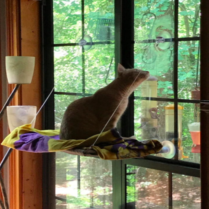 40 Funny Products That Are Actually Useful