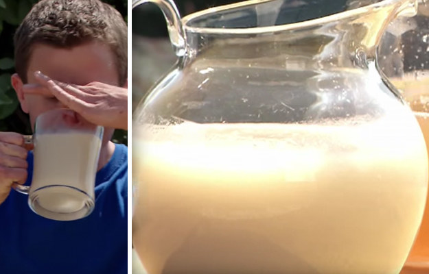 How Many Of These Gross “Fear Factor” Foods Would You Eat For $25,000?