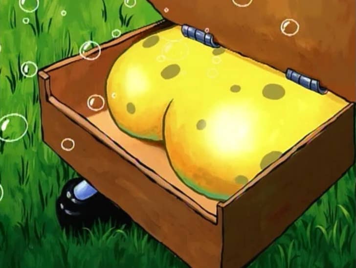 spongebob bum