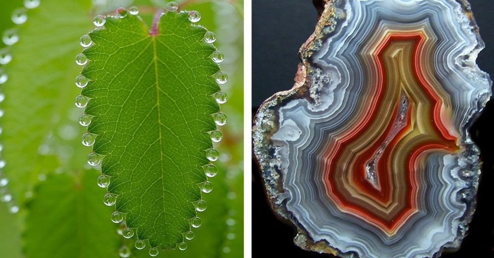 If You Need A Break, Just Take A Look At These 28 Calming Nature Photos