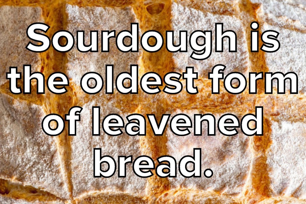 This Is Just A Super Hard "True Or False" Quiz About Bread