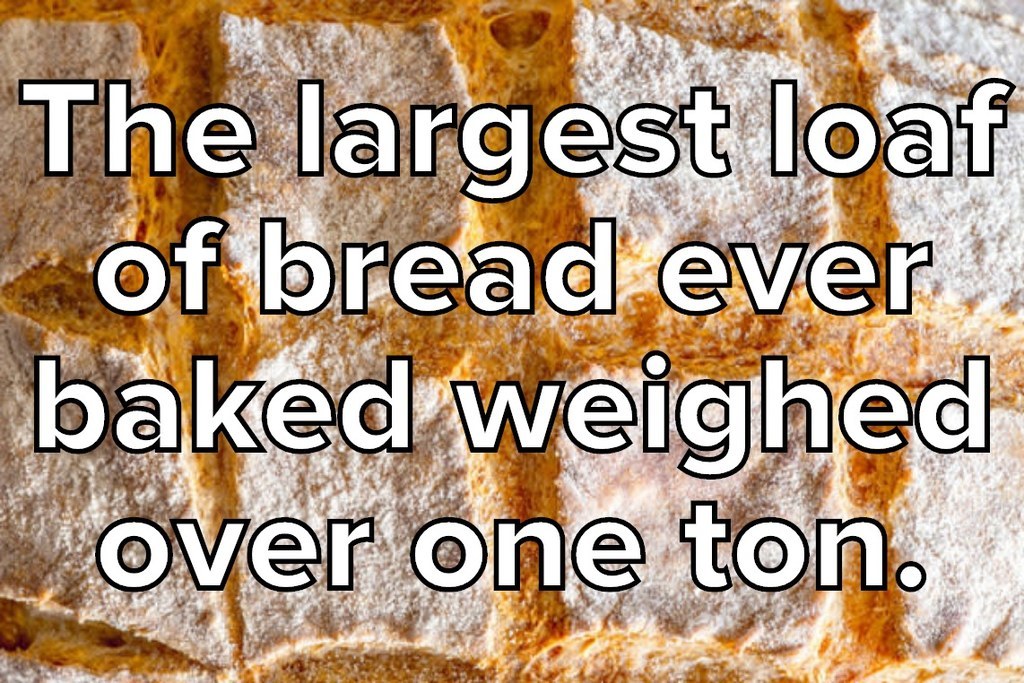 This Is Just A Super Hard "True Or False" Quiz About Bread